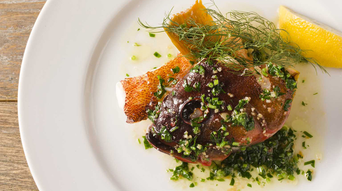 cignale ENOTECA| チニャーレ エノテカ